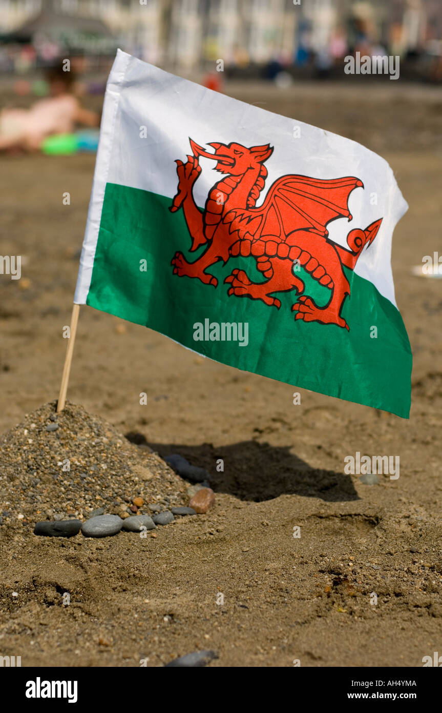 Y Ddraig Goch Red Dragon small welsh flag in the sand Aberystwyth beach ...