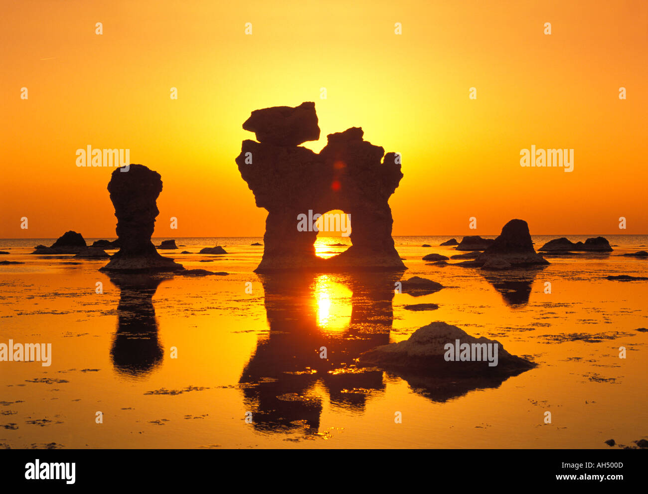 SWEDEN GOTLAND ISLAND FARO THE DOG Stock Photo - Alamy
