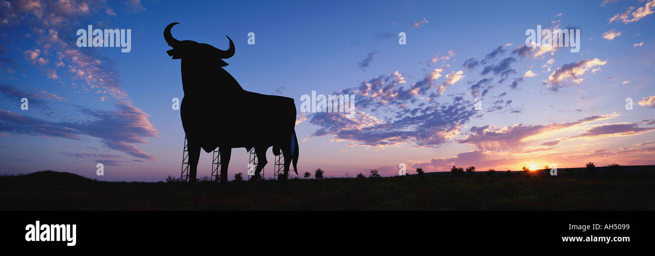 Black bull in field hi-res stock photography and images - Alamy