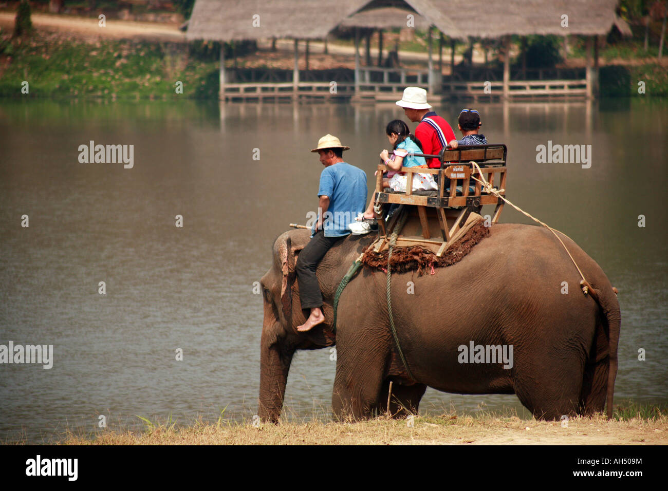 Elephant rides at the Thai Elephant Conservation Centre Stock Photo - Alamy