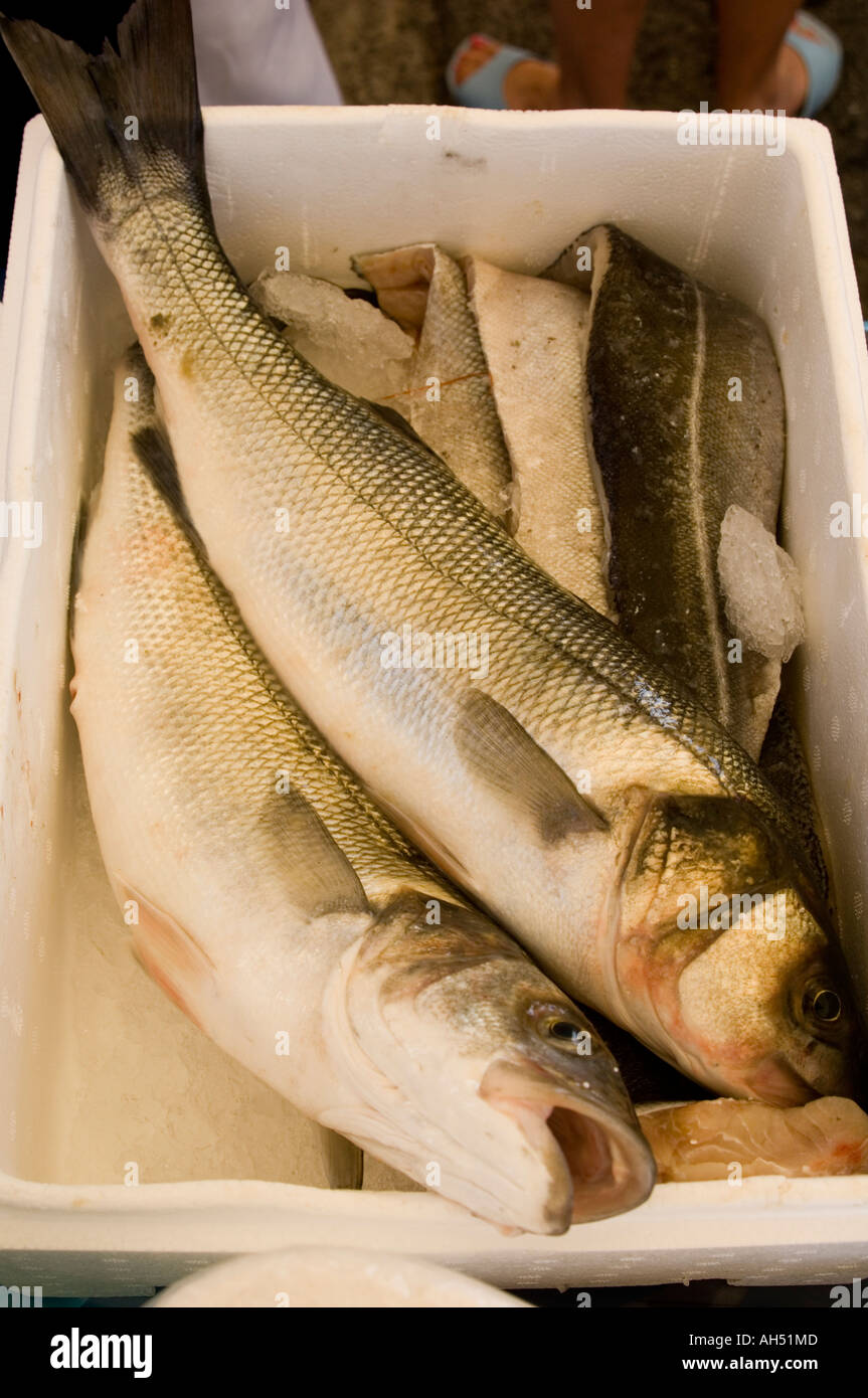 a box of Fresh local cardigan bay sea bass fish for sale Aberaeron ...