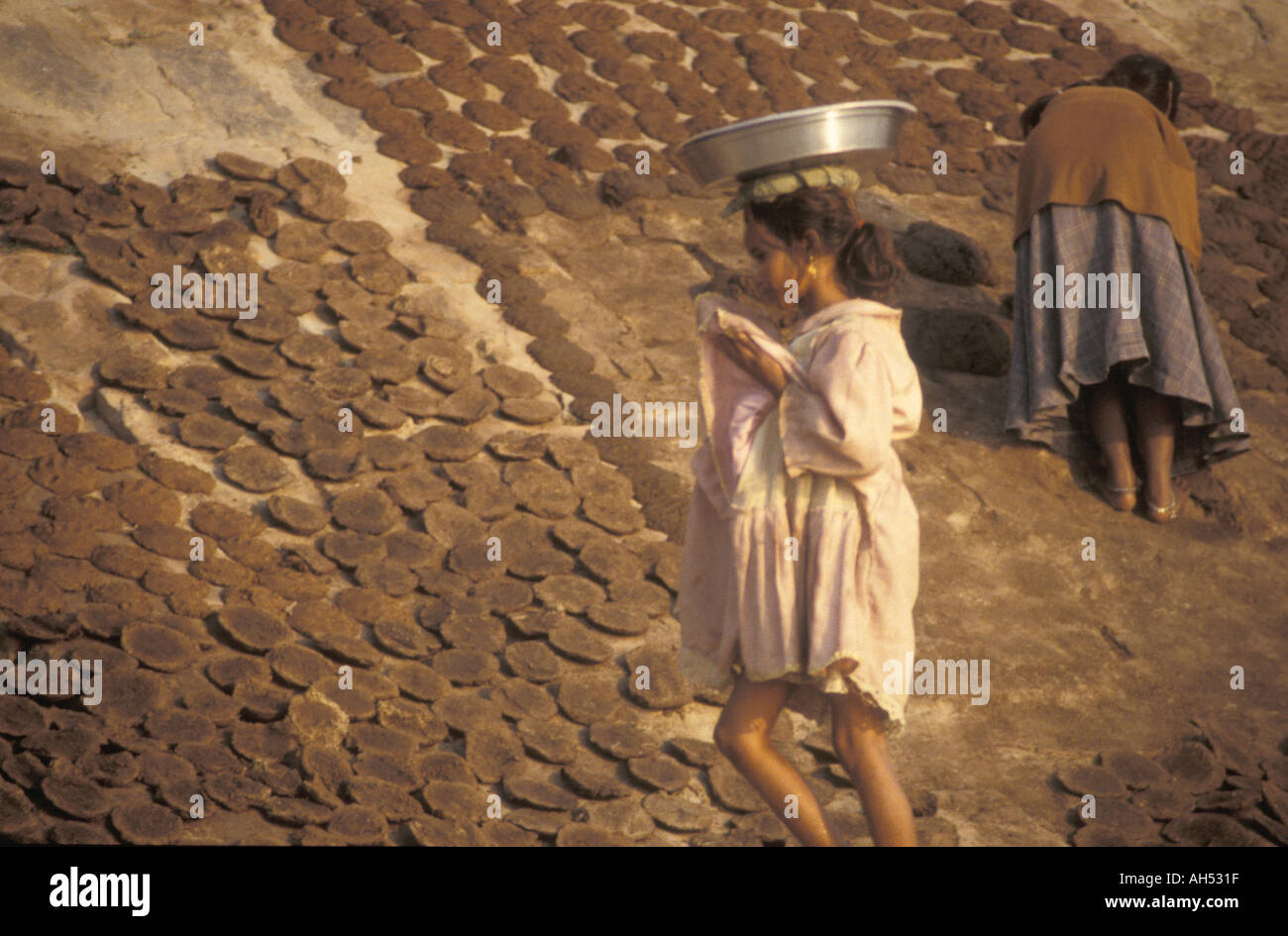 A girl collecting cow dung at Varanasi India Stock Photo - Alamy
