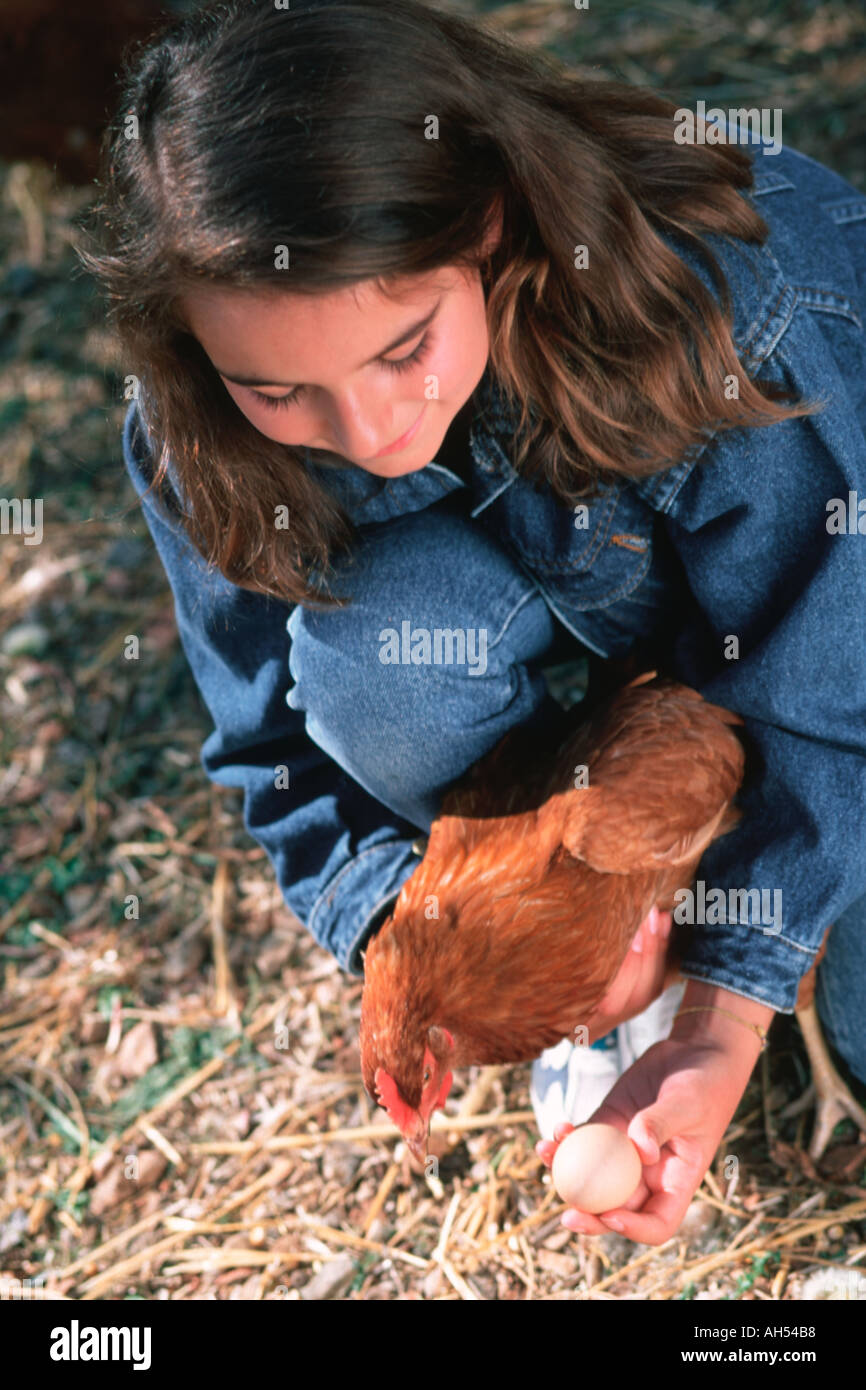 Young girl with hen gathering egg Stock Photo - Alamy