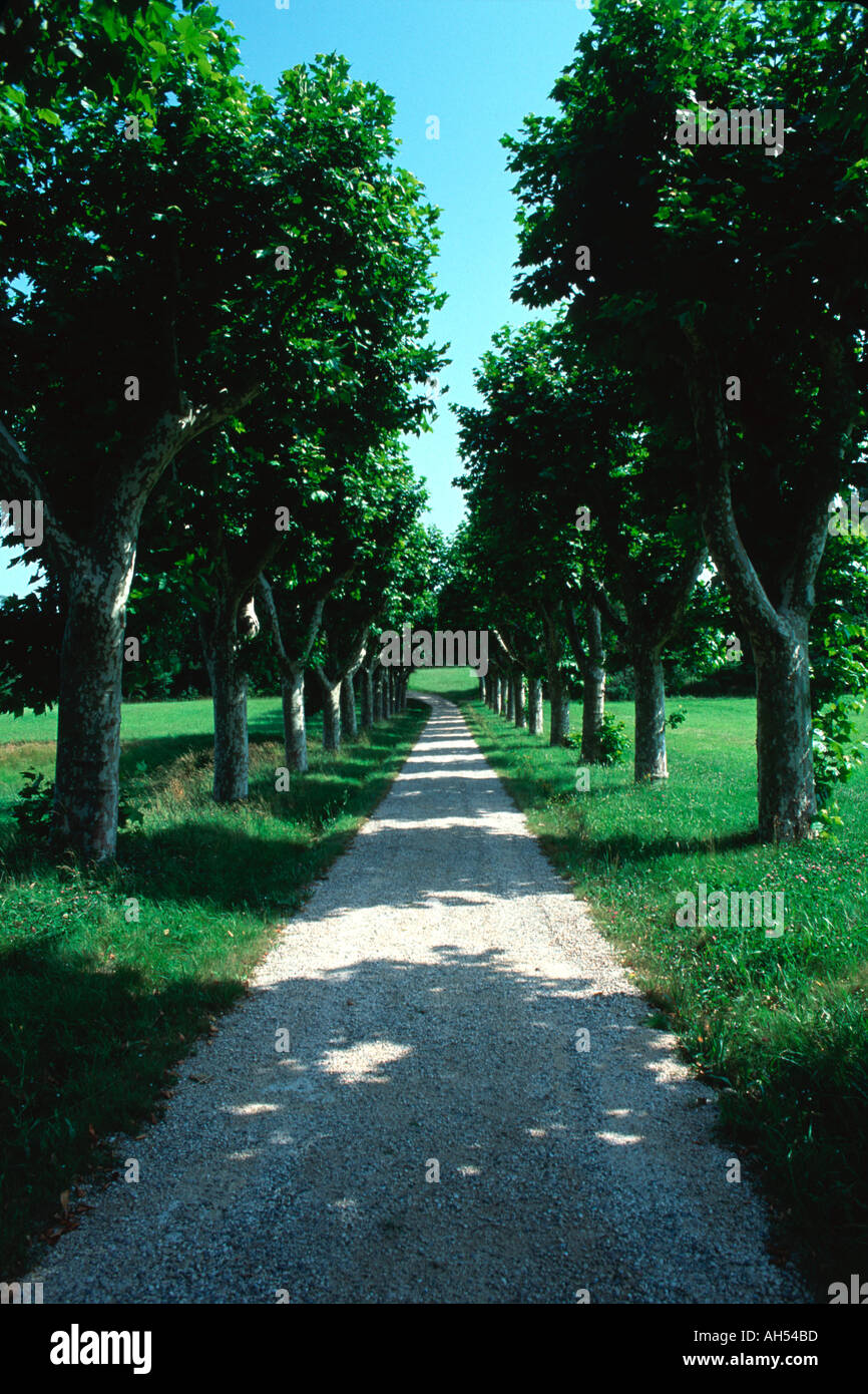 Path private hi-res stock photography and images - Alamy