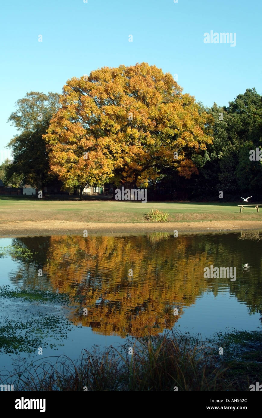 Shenfield brentwood essex england uk hi-res stock photography and ...