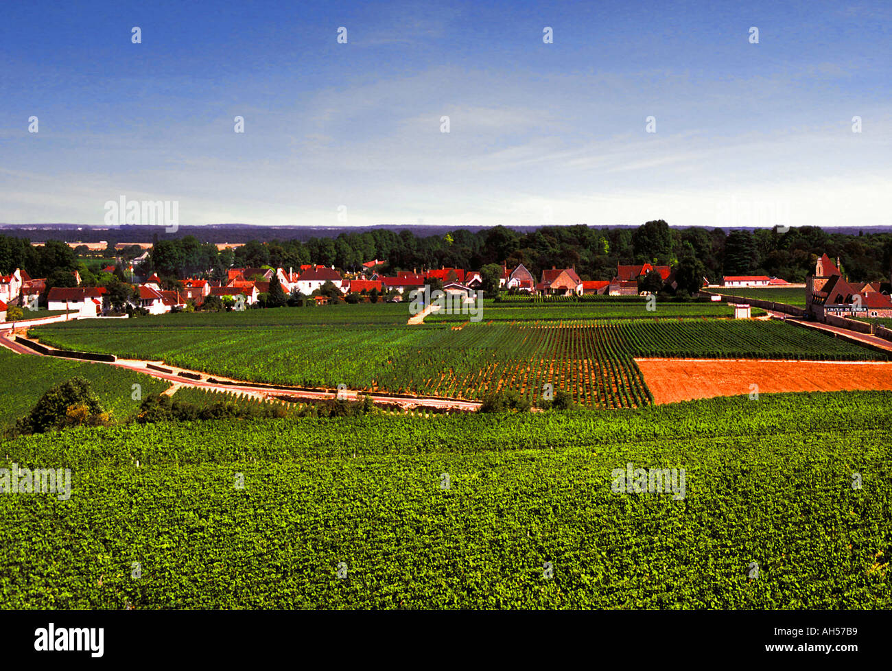 Côtes de nuits vineyards hi-res stock photography and images - Alamy