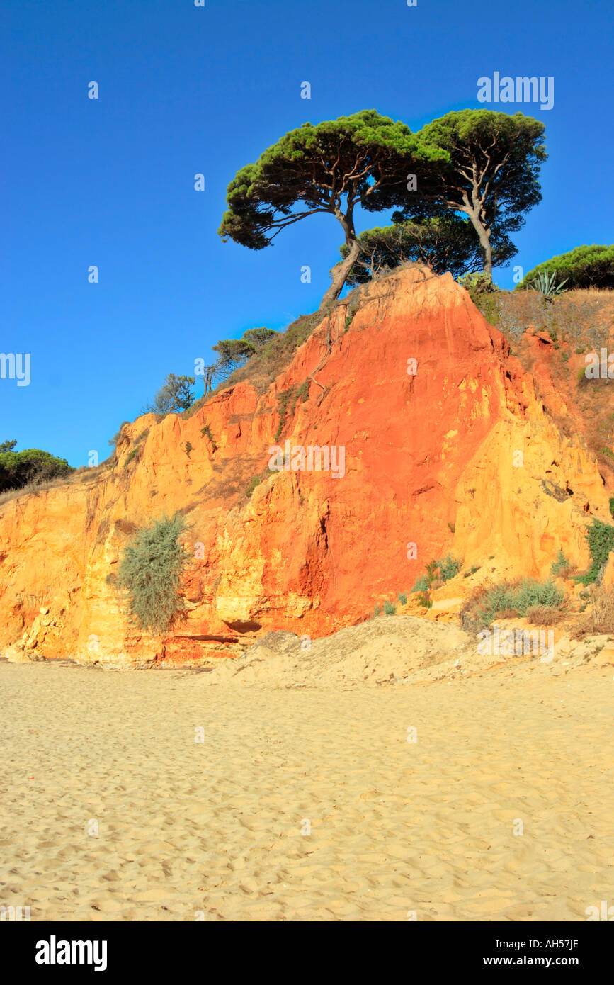beach cliff, portugal, albufeira Stock Photo - Alamy