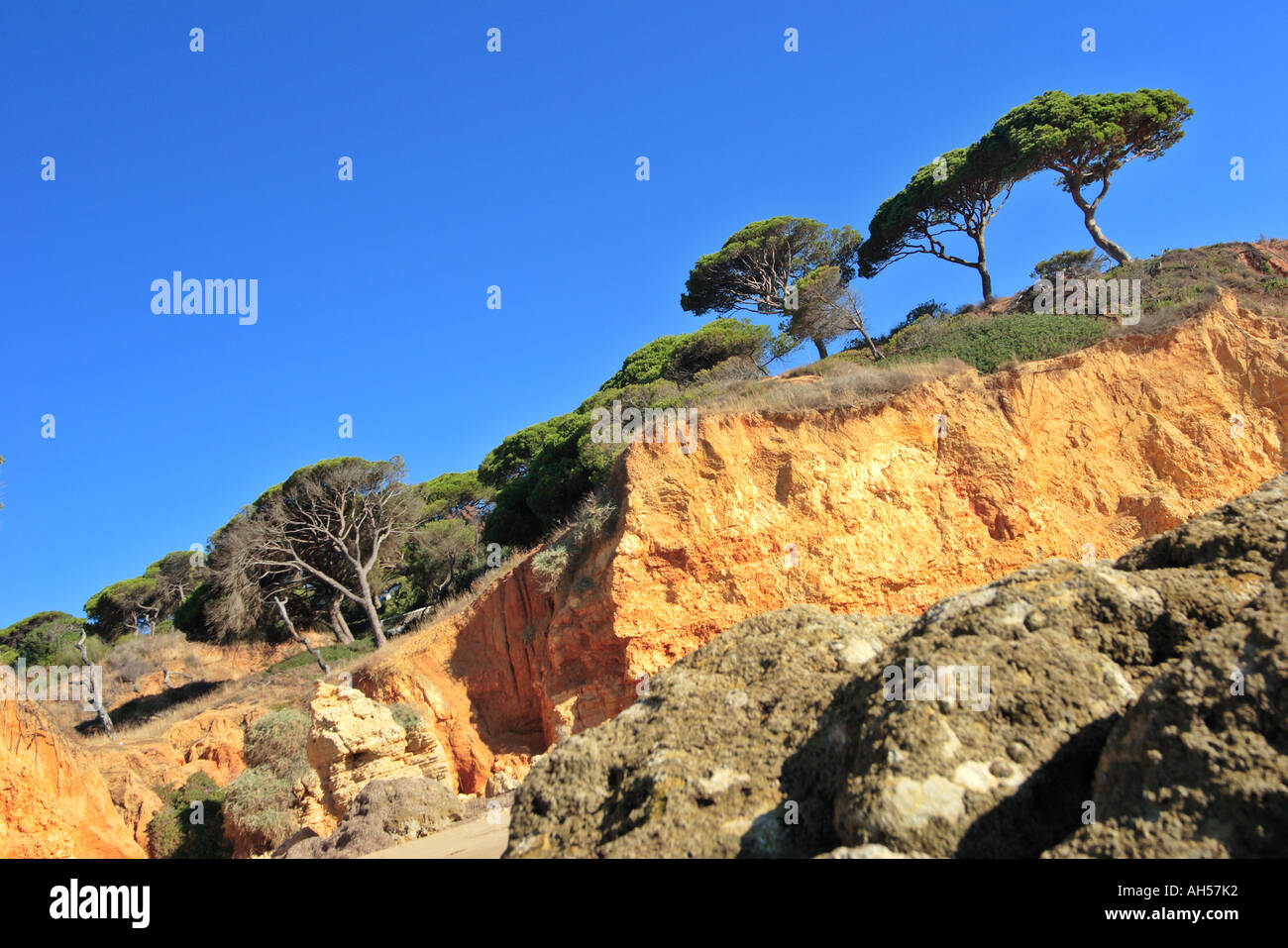 beach cliff, portugal, albufeira Stock Photo - Alamy