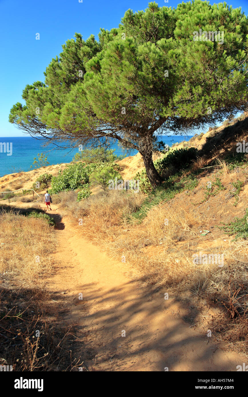 coast scene, portugal , albufeira Stock Photo - Alamy