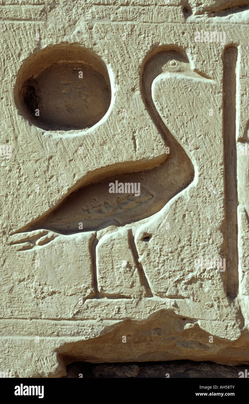 Bird hieroglyph on wall within Karnak Temple complex, Luxor, Egypt ...