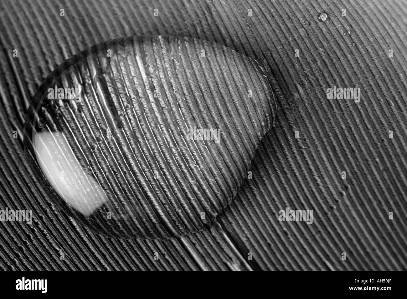 Water contamination Black and White Stock Photos & Images - Alamy