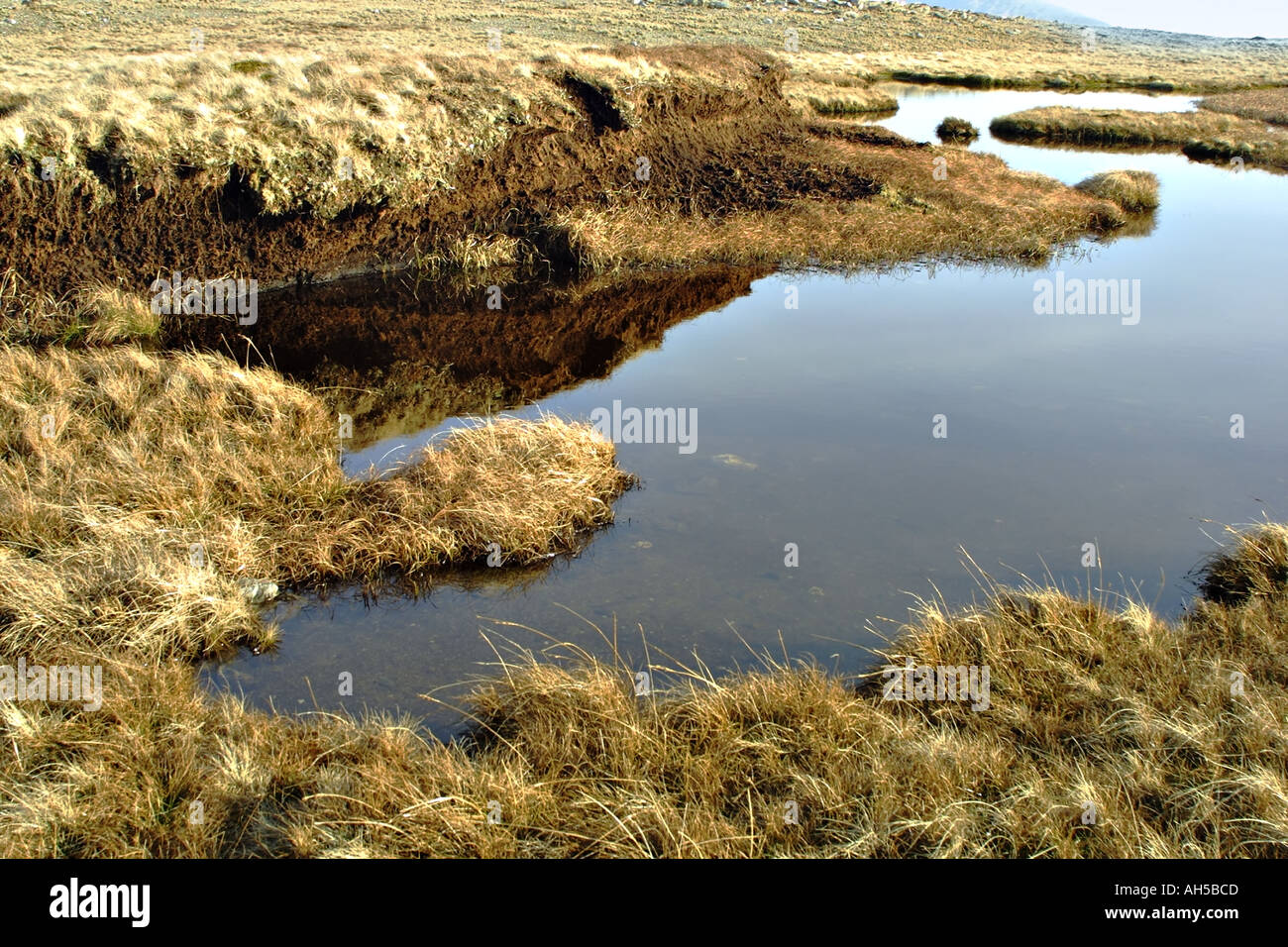 Old peat workings Stock Photo - Alamy