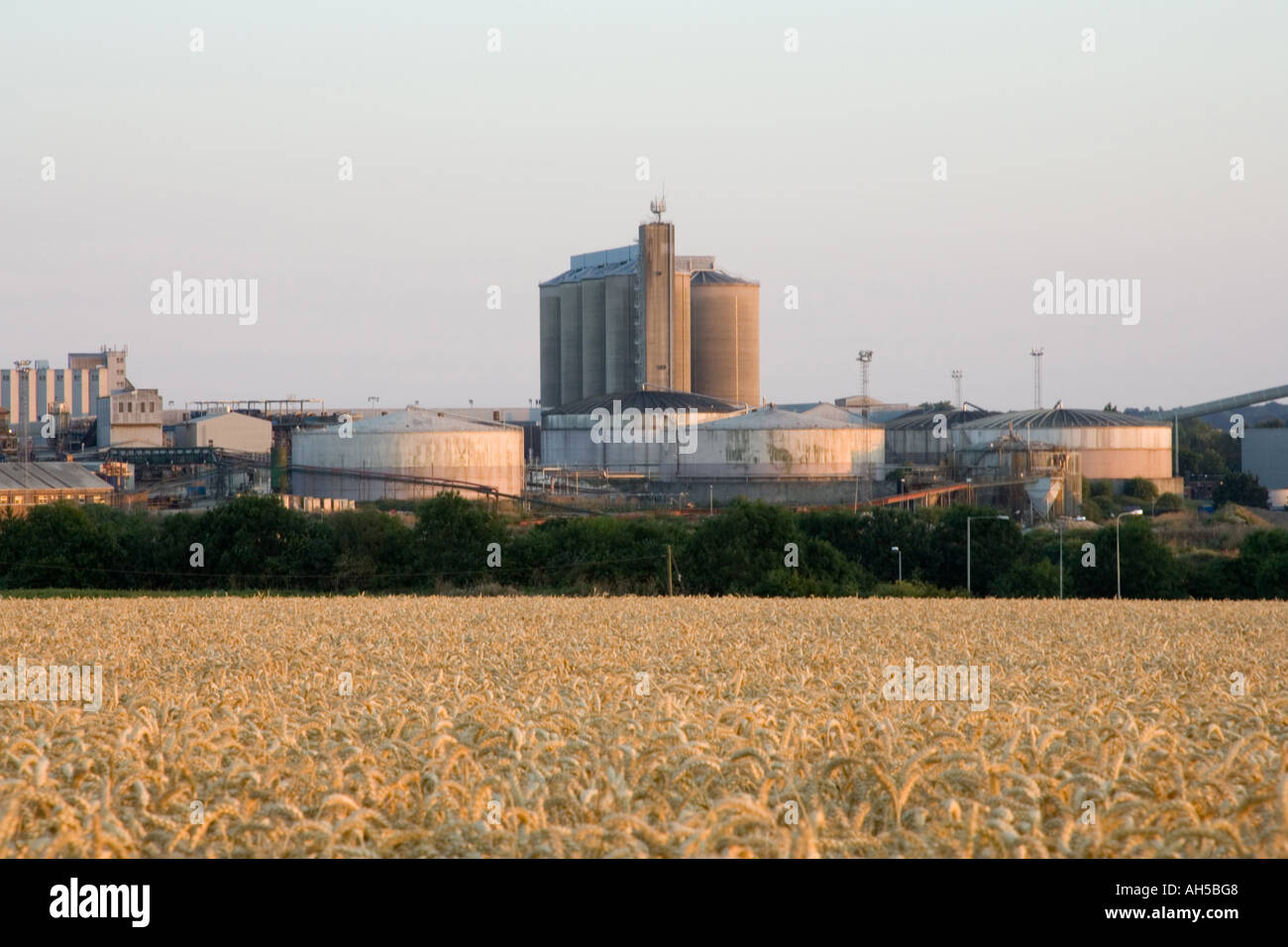 The British Sugar beet processing factory at Bury St Edmunds in Suffolk ...