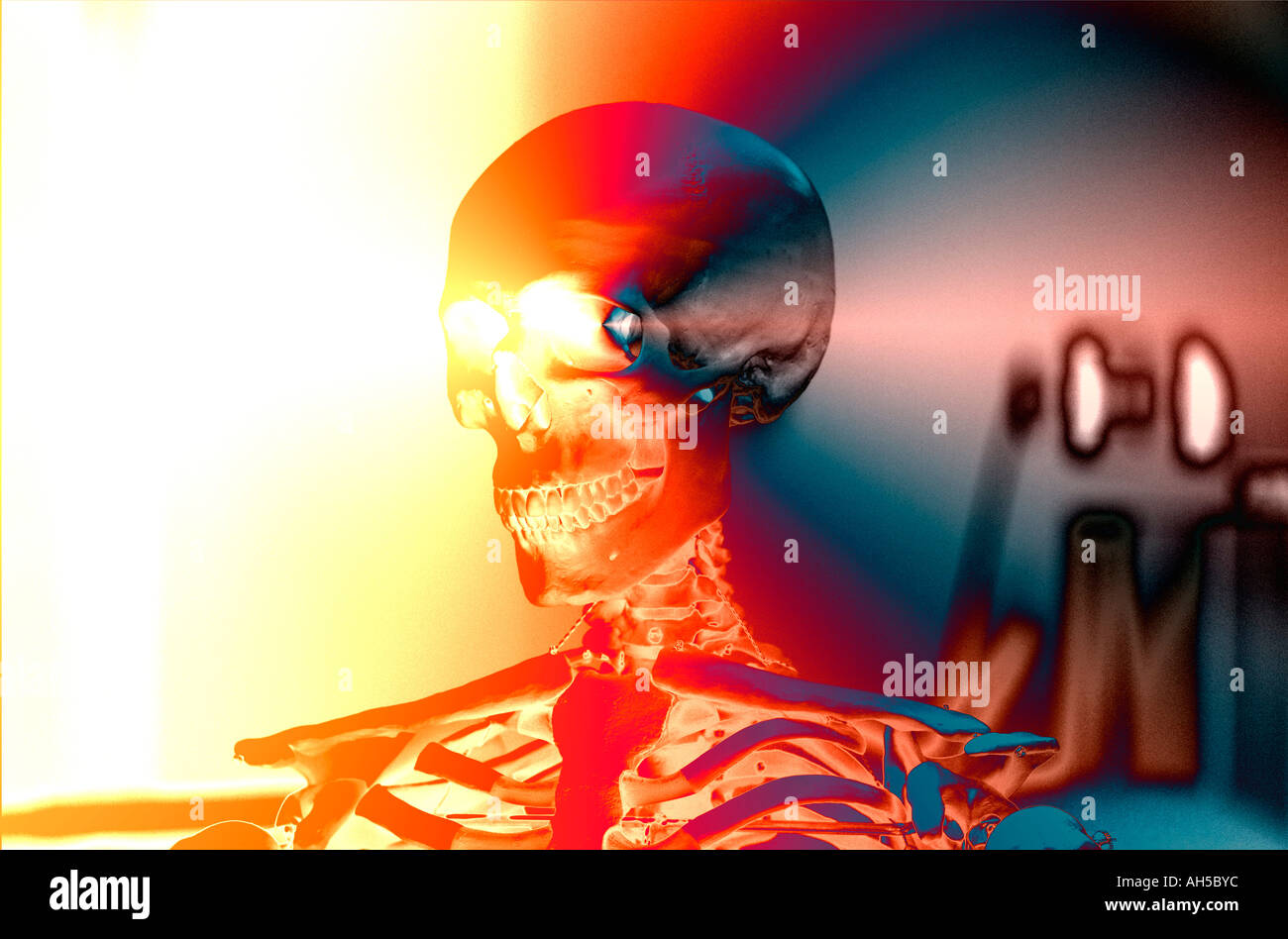human skull and skeleton abstract Stock Photo - Alamy