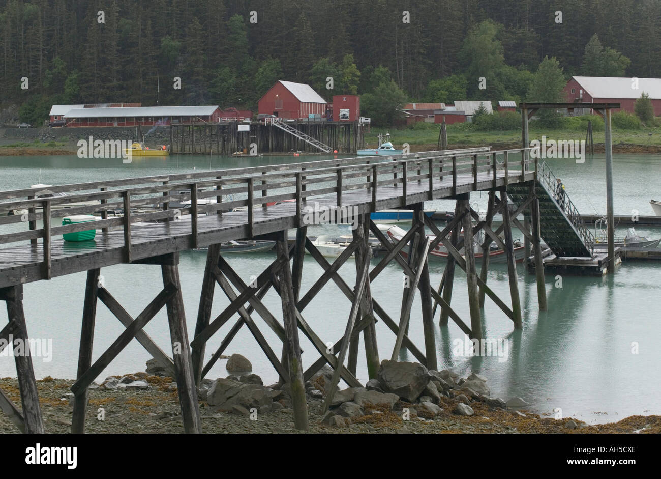 An inlet fishing harbour and cannery Haines Alaska USA Stock Photo - Alamy