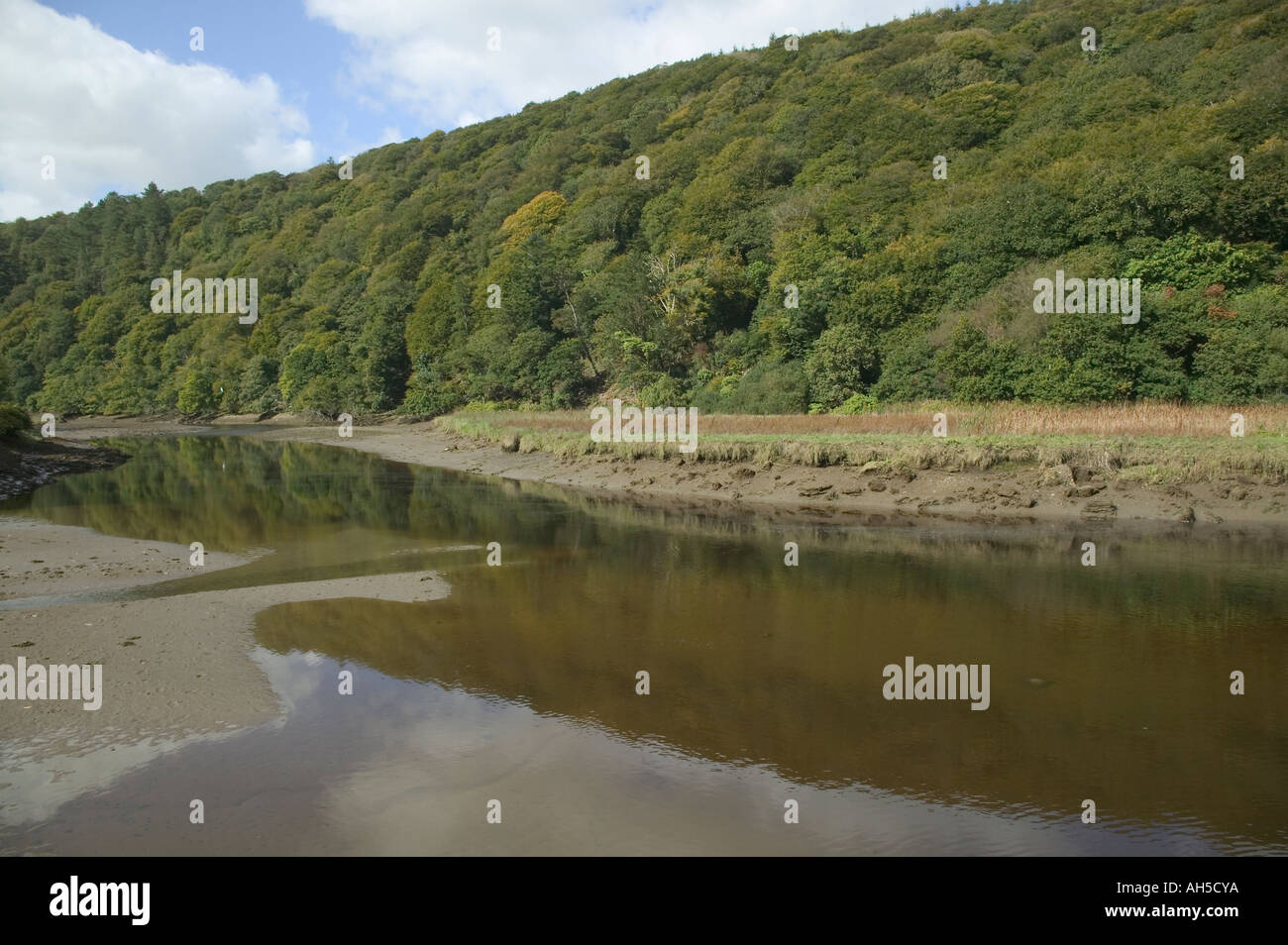 The River Tavy at low tide at Lopwell Devon Great Britain Stock Photo ...