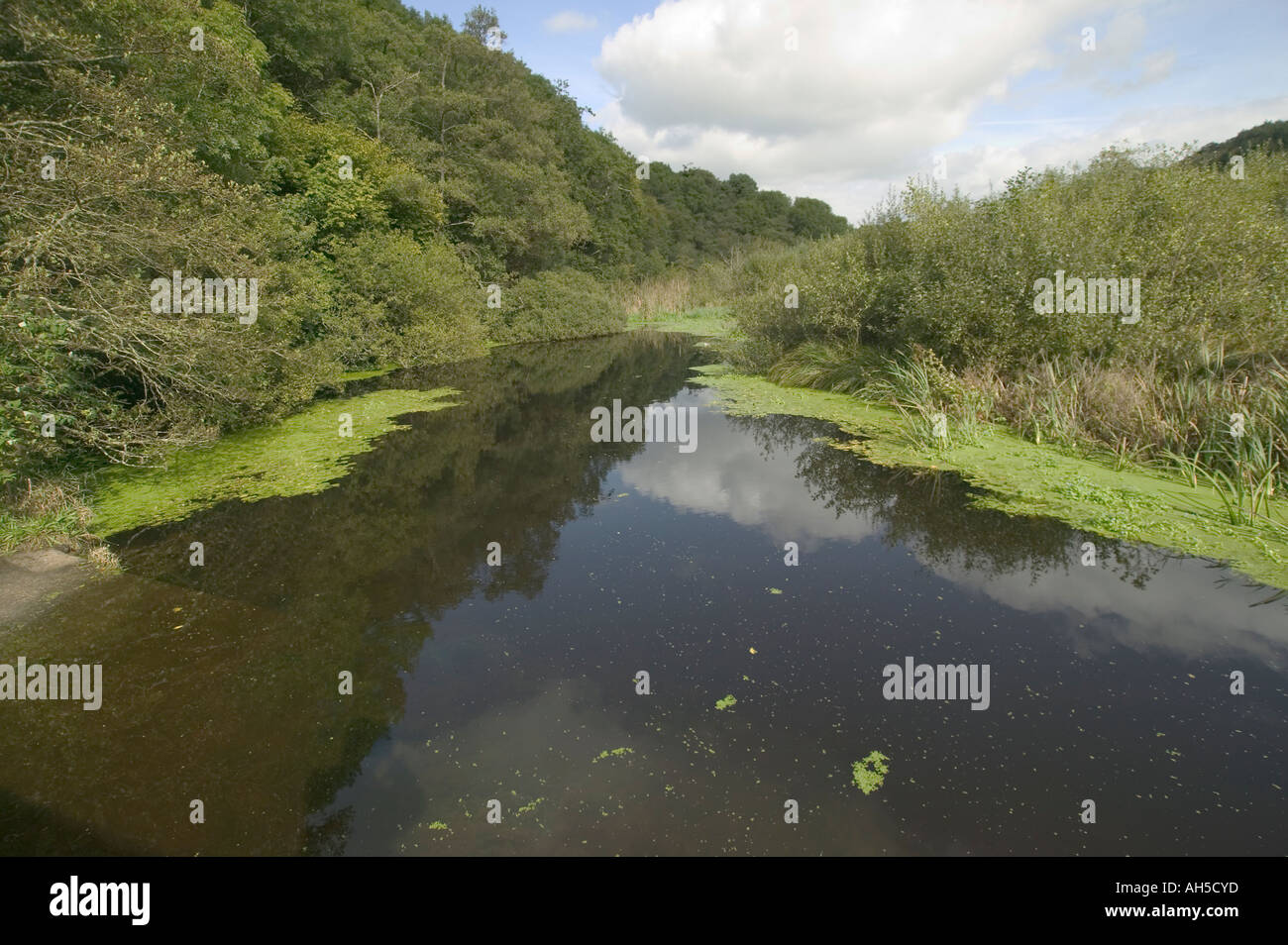 The River Tavy at Lopwell Devon Great Britain Stock Photo - Alamy
