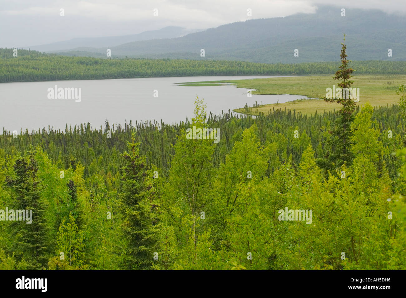 Kenai national wildlife refuge hi-res stock photography and images - Alamy
