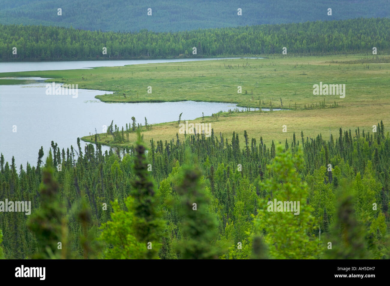 Forest and lake view Kenai National Wildlife Refuge Kenai Peninsula ...