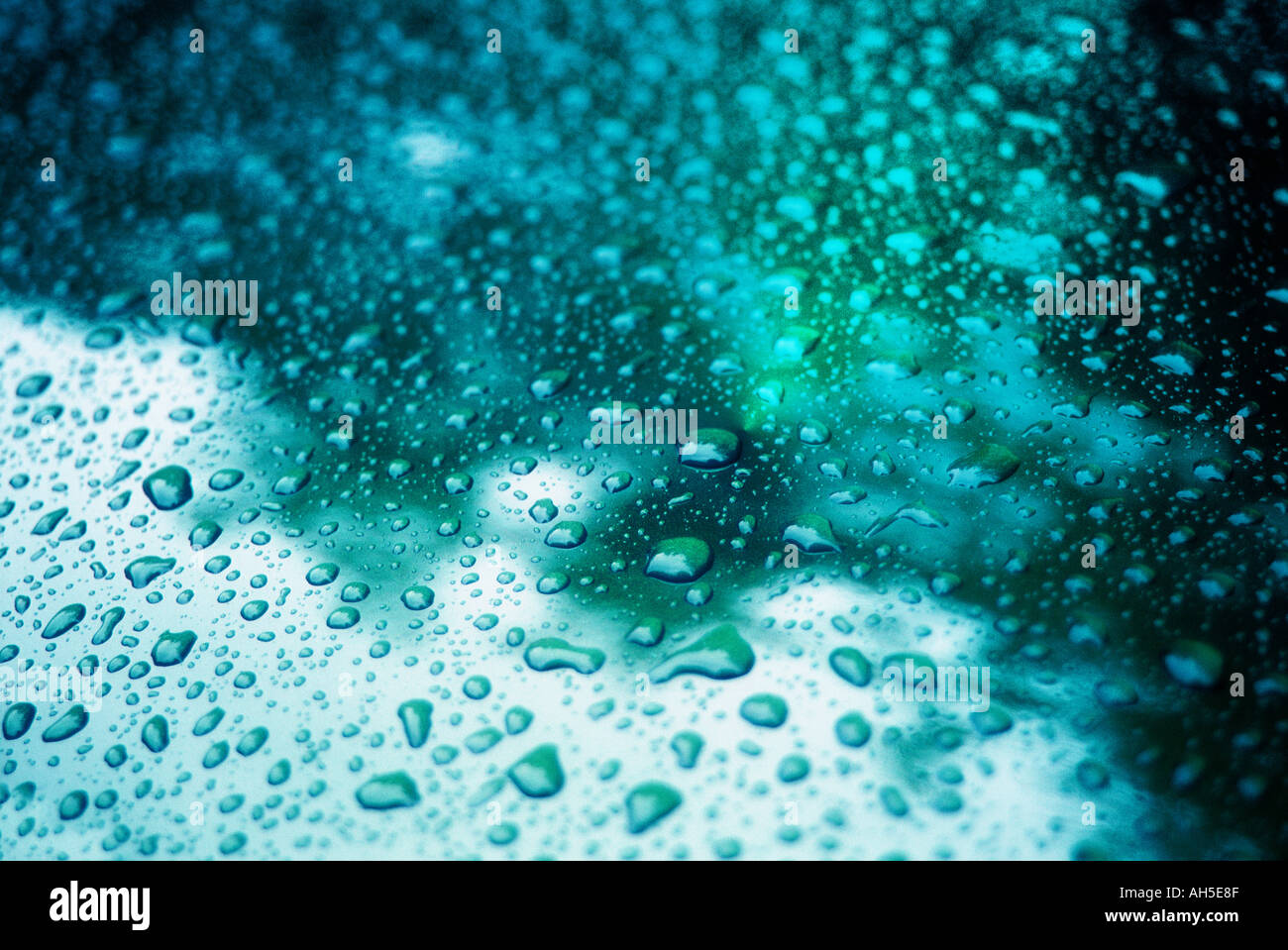 Rainwater reflecting on shiny surface Stock Photo - Alamy