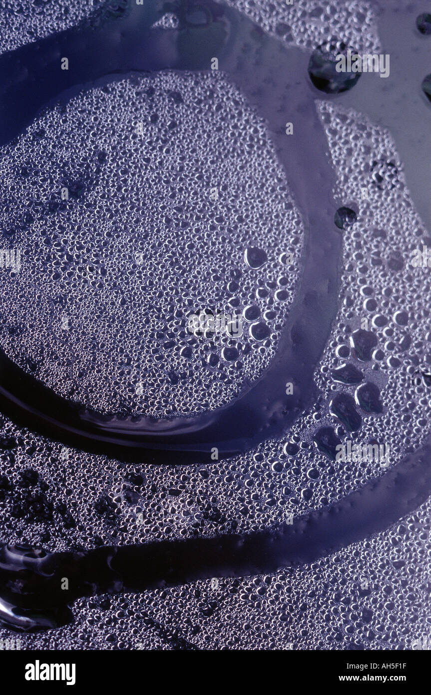 Slug trail on glass with condensation Stock Photo - Alamy