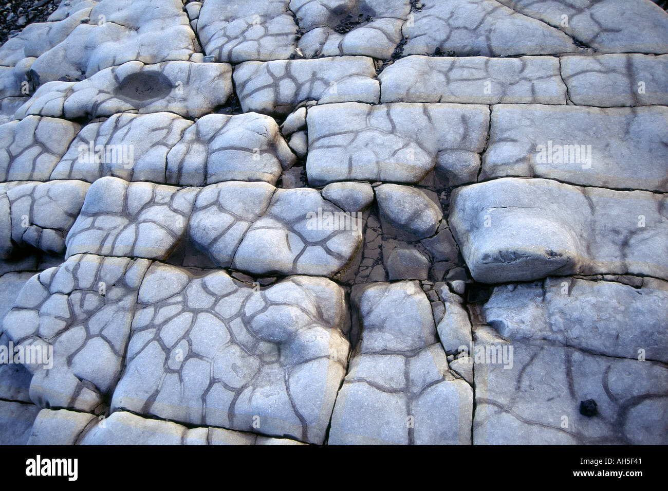 Rocky outcrop showing veins and textures at seaside Stock Photo - Alamy