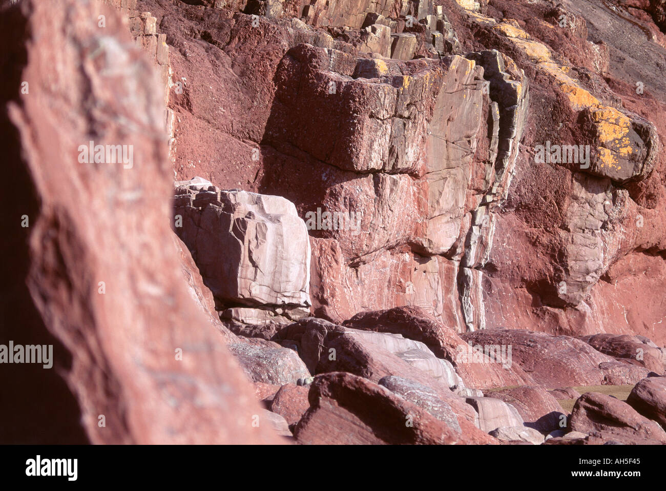 Terracotta coloured rock at seaside Stock Photo - Alamy