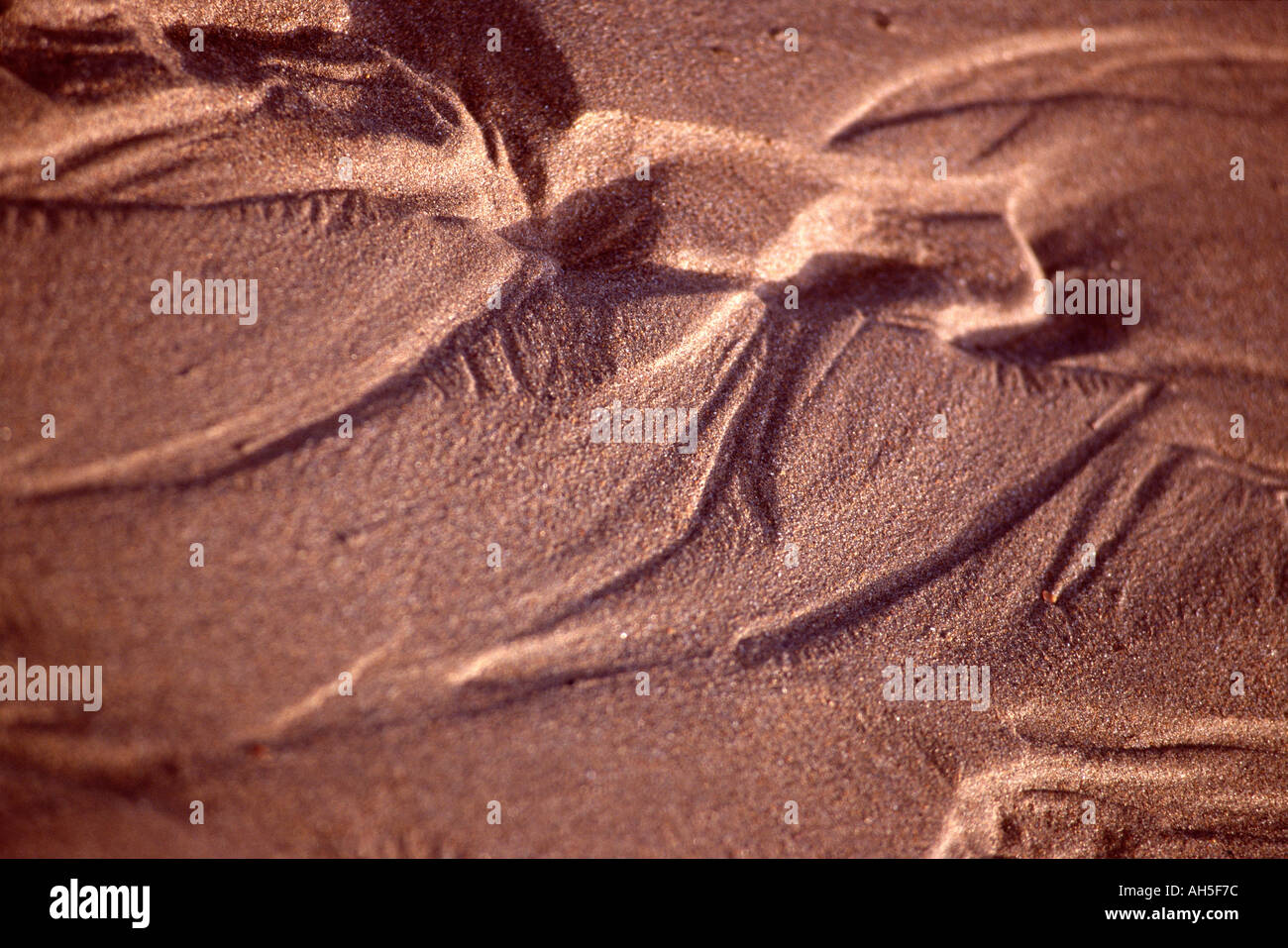 Patterns in sand Stock Photo - Alamy