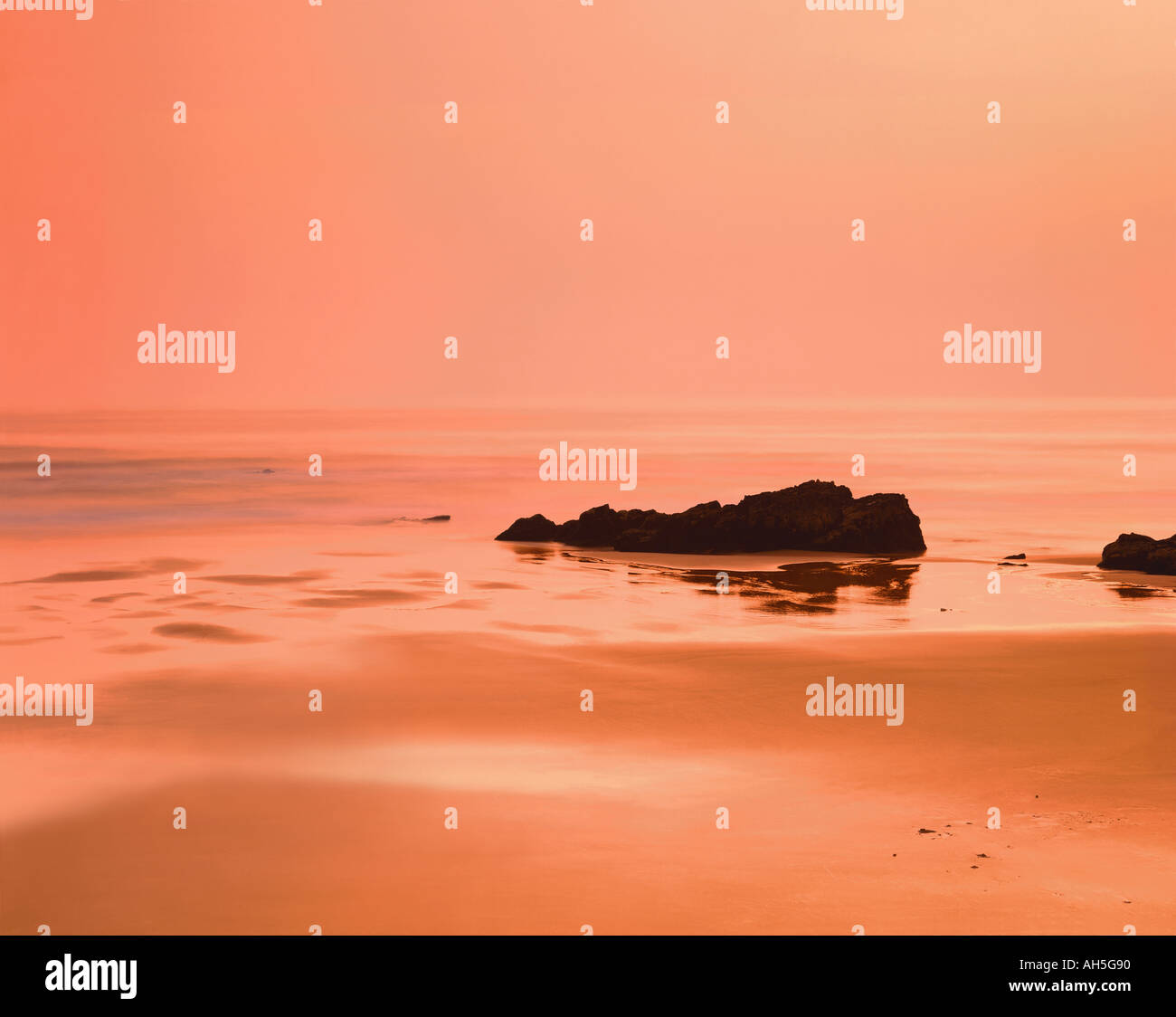 misty beach with diffused sun Stock Photo - Alamy