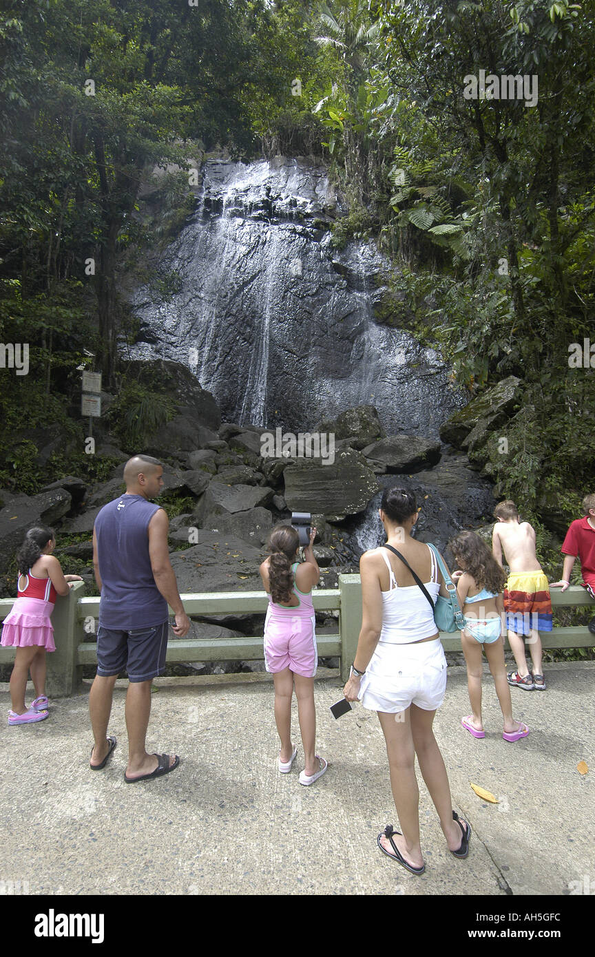 Coca Fall El Yunque Caribbean Rainforest Recreation Area Luquillo ...