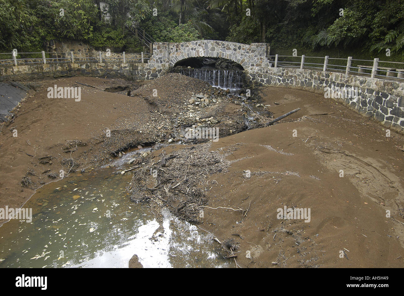 El Yunque Caribbean Rainforest Recreation Area Luquillo mountains ...
