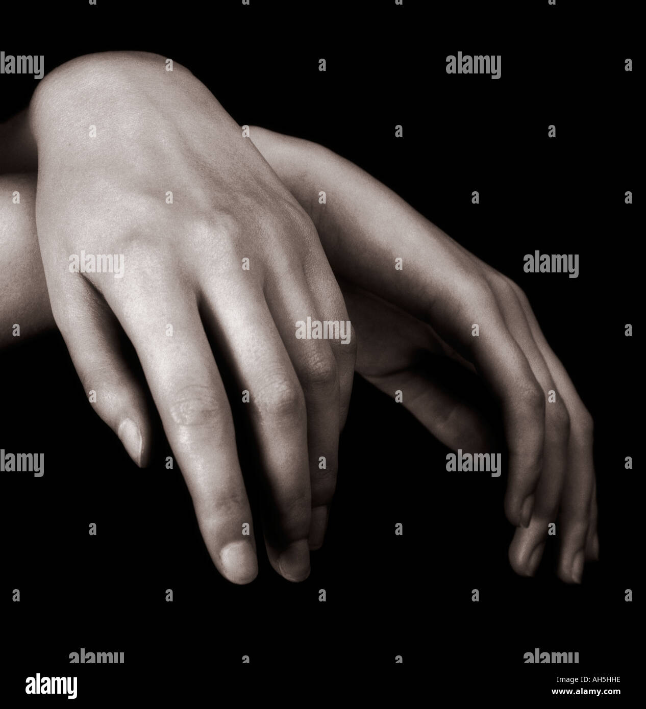 Study of a Woman's Hands genre Black and White Monochrome Fine Art ...