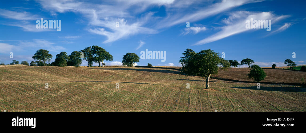 Craigrothie hi-res stock photography and images - Alamy