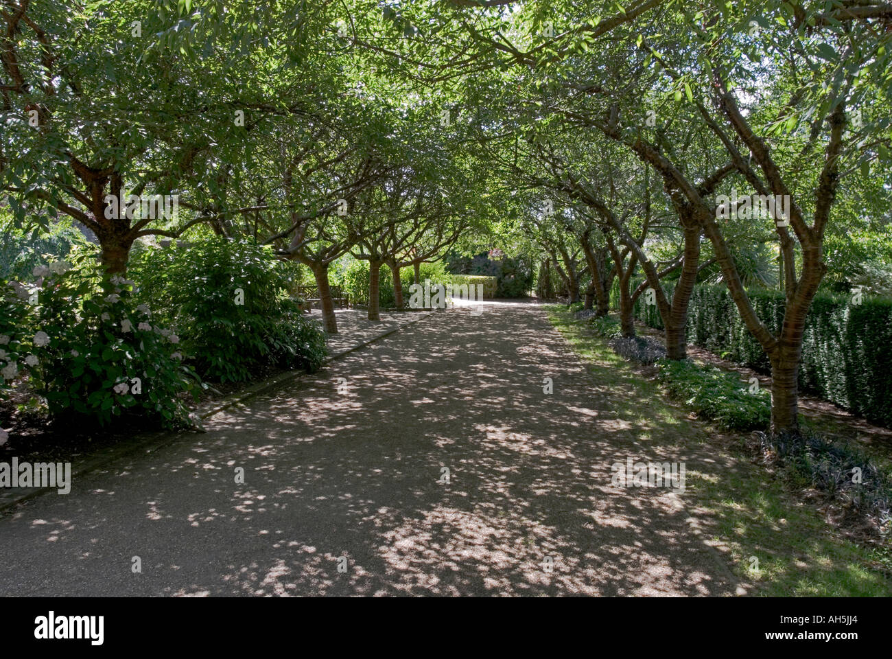 A Walkway in Capel Manor Gardens and Estate in Enfield Middlesex Stock ...