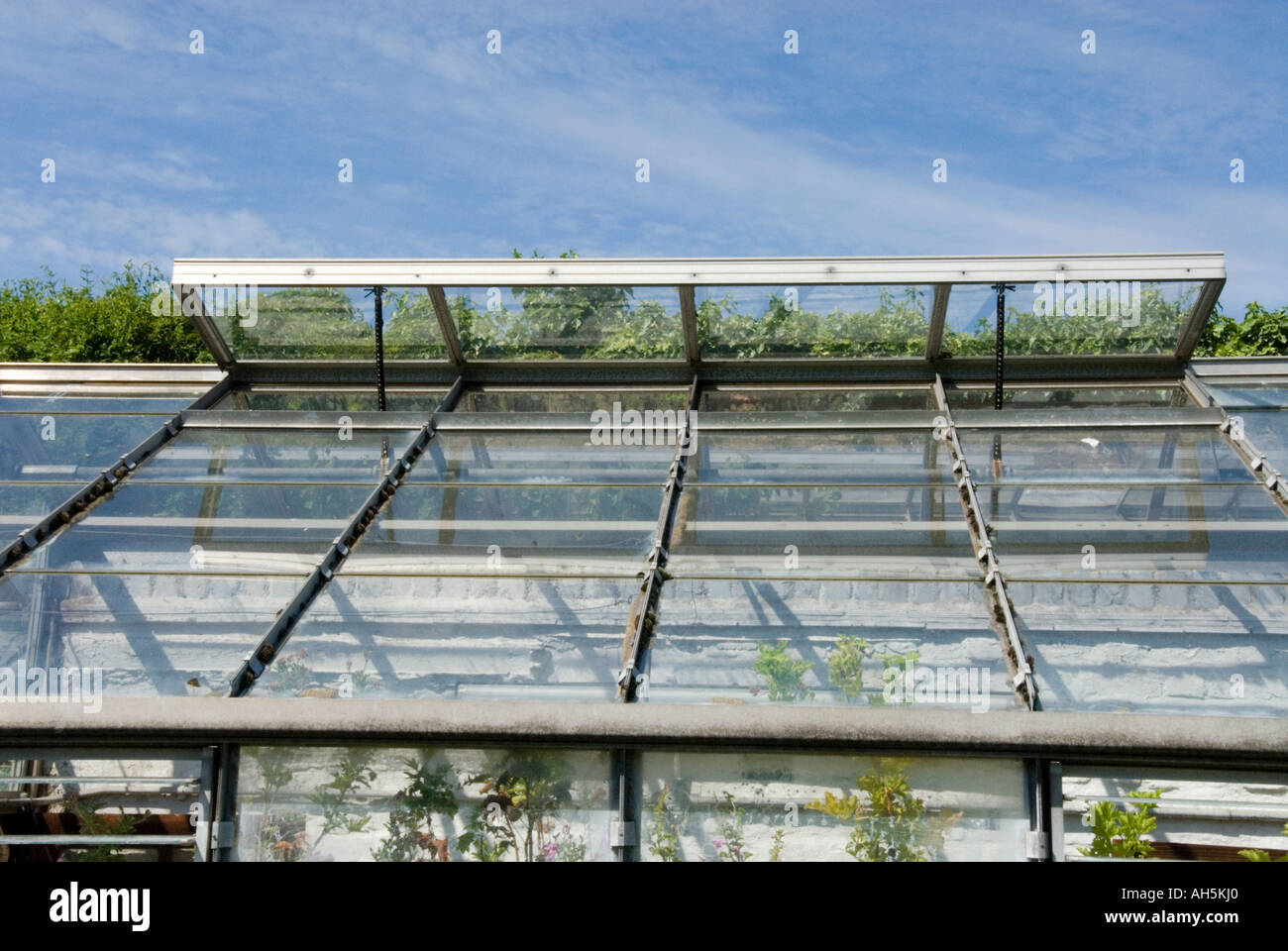 A glasshouse in summer with windows open to allow ventilation Stock ...