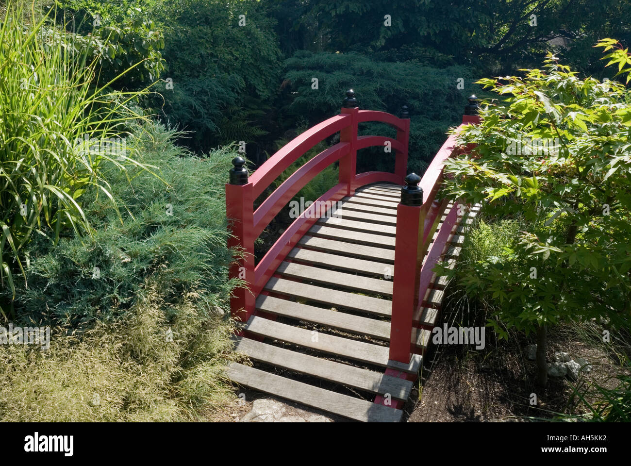 Japanese garden in Capel Manor Enfield Middlesex Stock Photo - Alamy