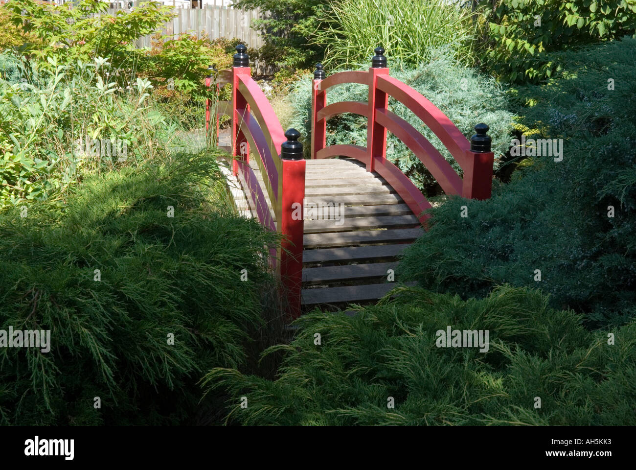Japanese garden in Capel Manor Enfield Middlesex Stock Photo - Alamy