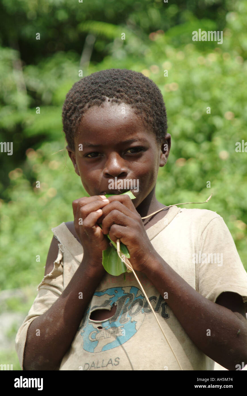 Portrait of a young local boy from Ibo Island. Quirimbas Archipelago ...