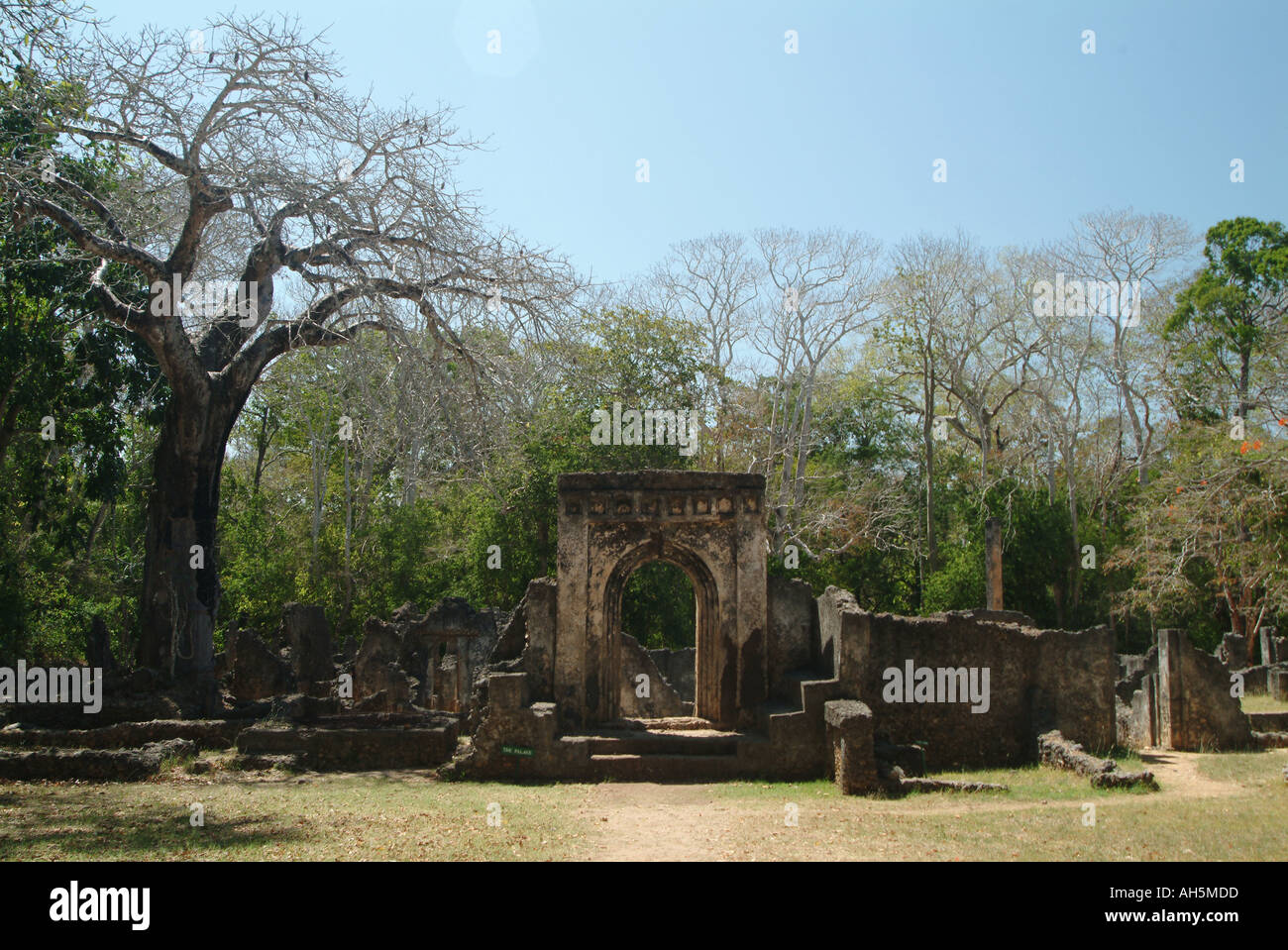 Gedi ruins hi-res stock photography and images - Alamy