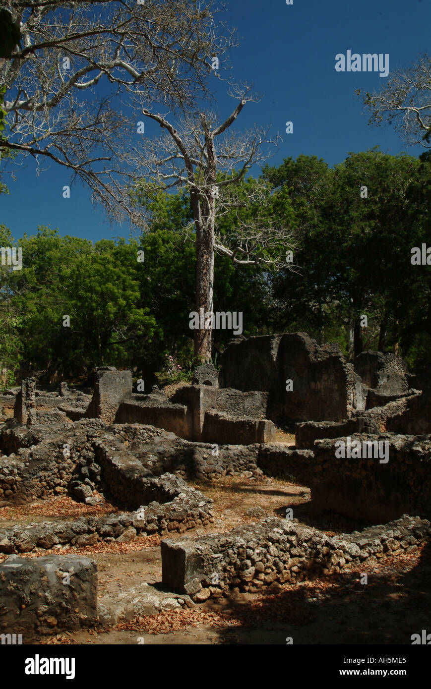 The historical Gedi ruins which was inhabited by a few thousand Swahili ...