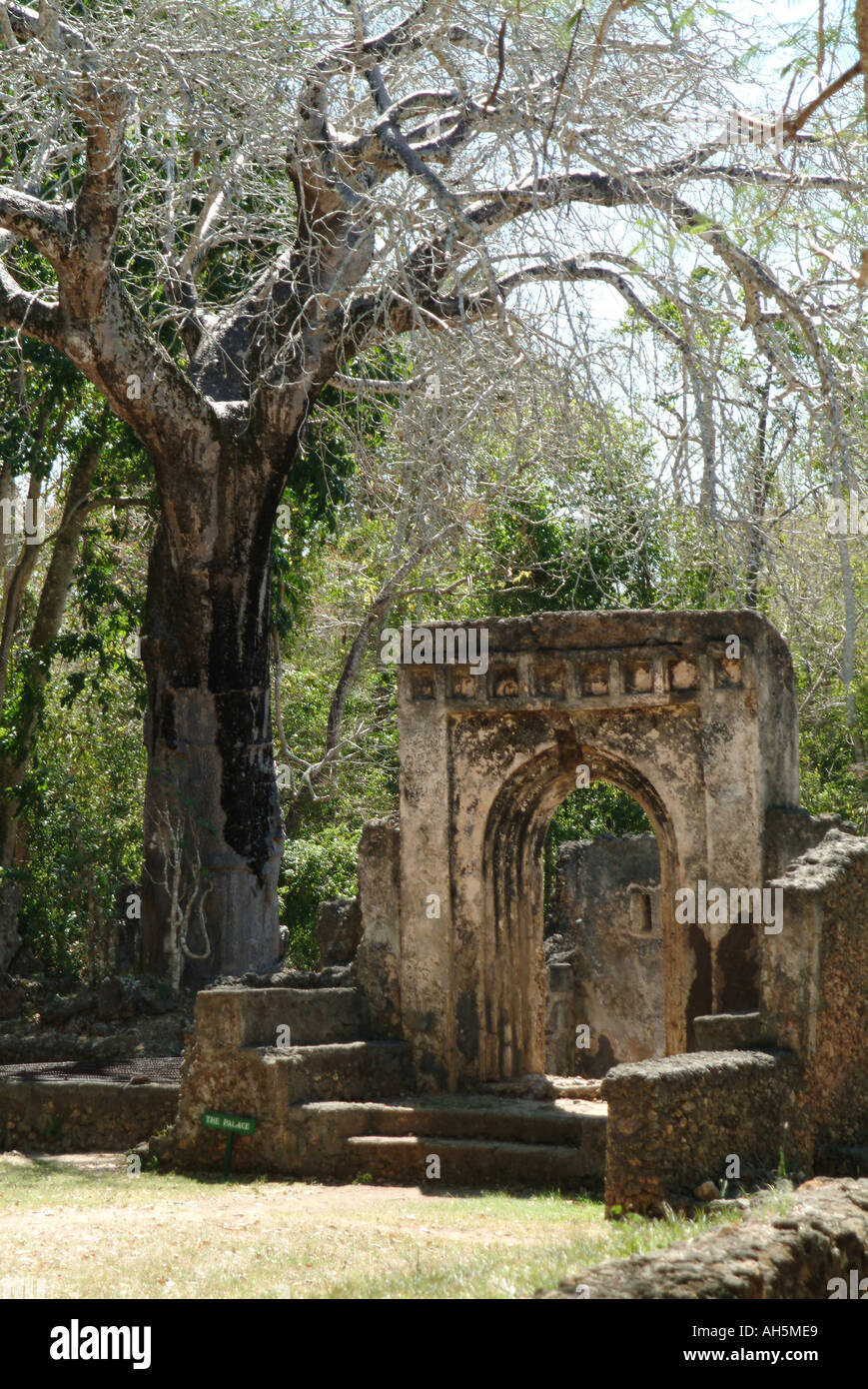 The historical Gedi ruins which was inhabited by a few thousand Swahili ...