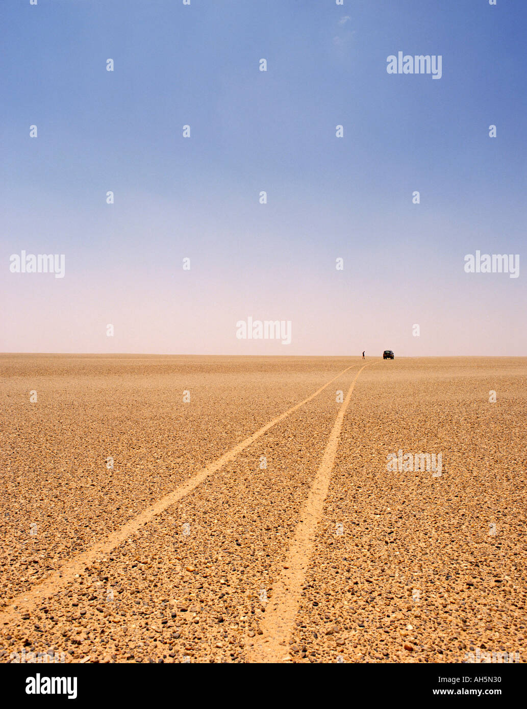 Typical example of the reg a vast featureless stoney plain Sahara ...