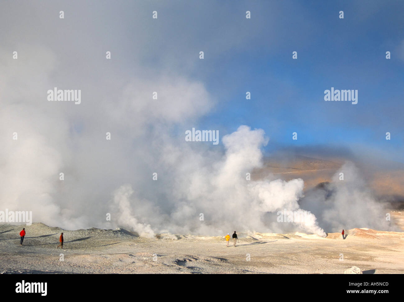 Steam fumaroles in geothermal field Sol de Manana near Laguna Colorado ...