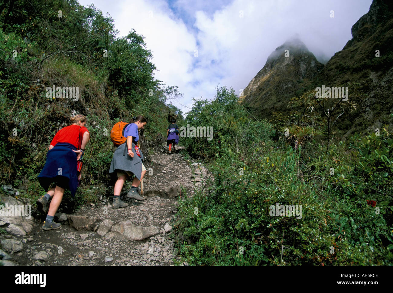 Tourists trekking Dead Woman Pass Inca Trail Peru South America Stock ...