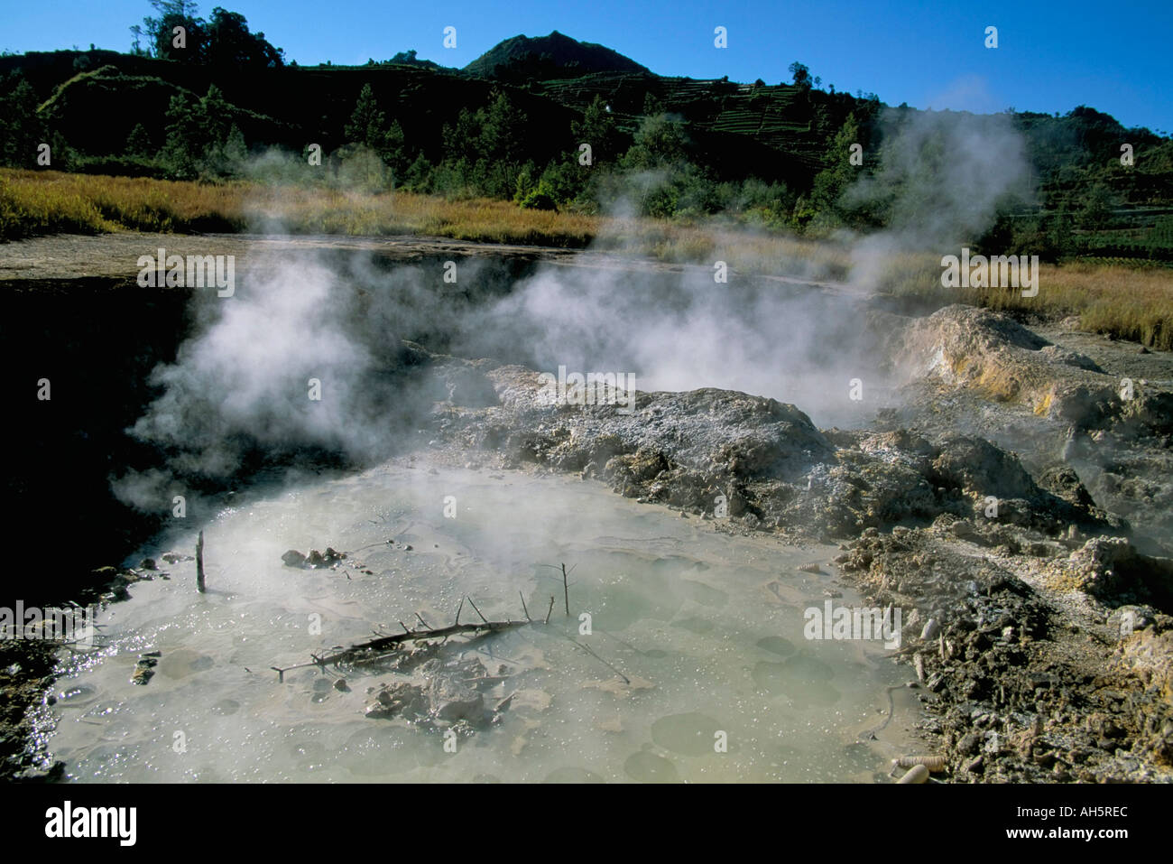 Bubbling mud pools Kawah Sikidang volcanic crater Dieng Plateau island ...