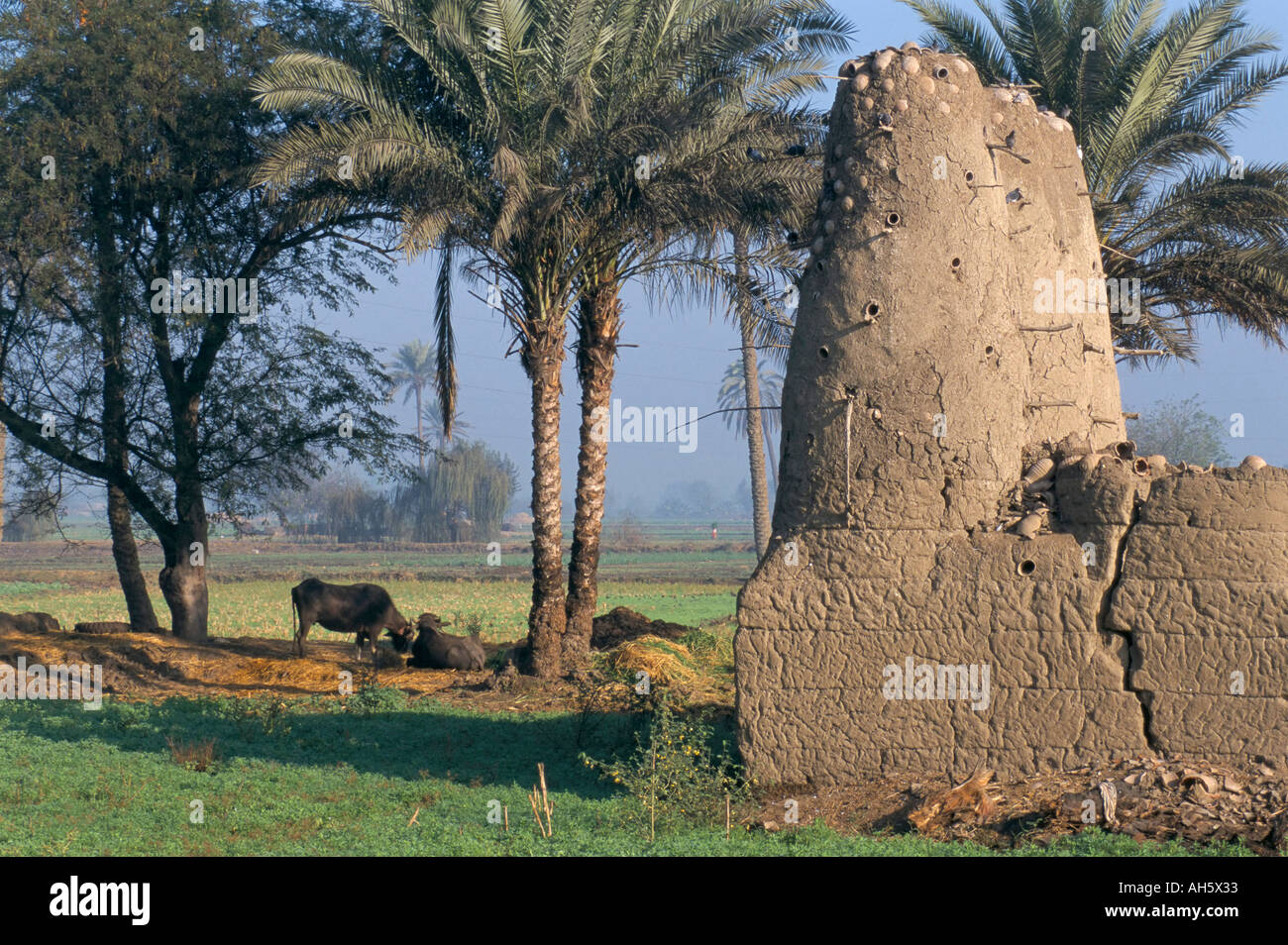 Pigeon tower dovecotes near Tanis Delta area Egypt North Africa Africa ...