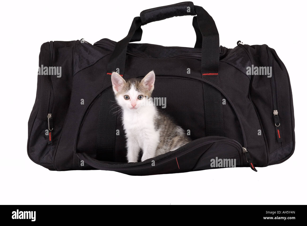 Fur bag Cut Out Stock Images & Pictures - Alamy