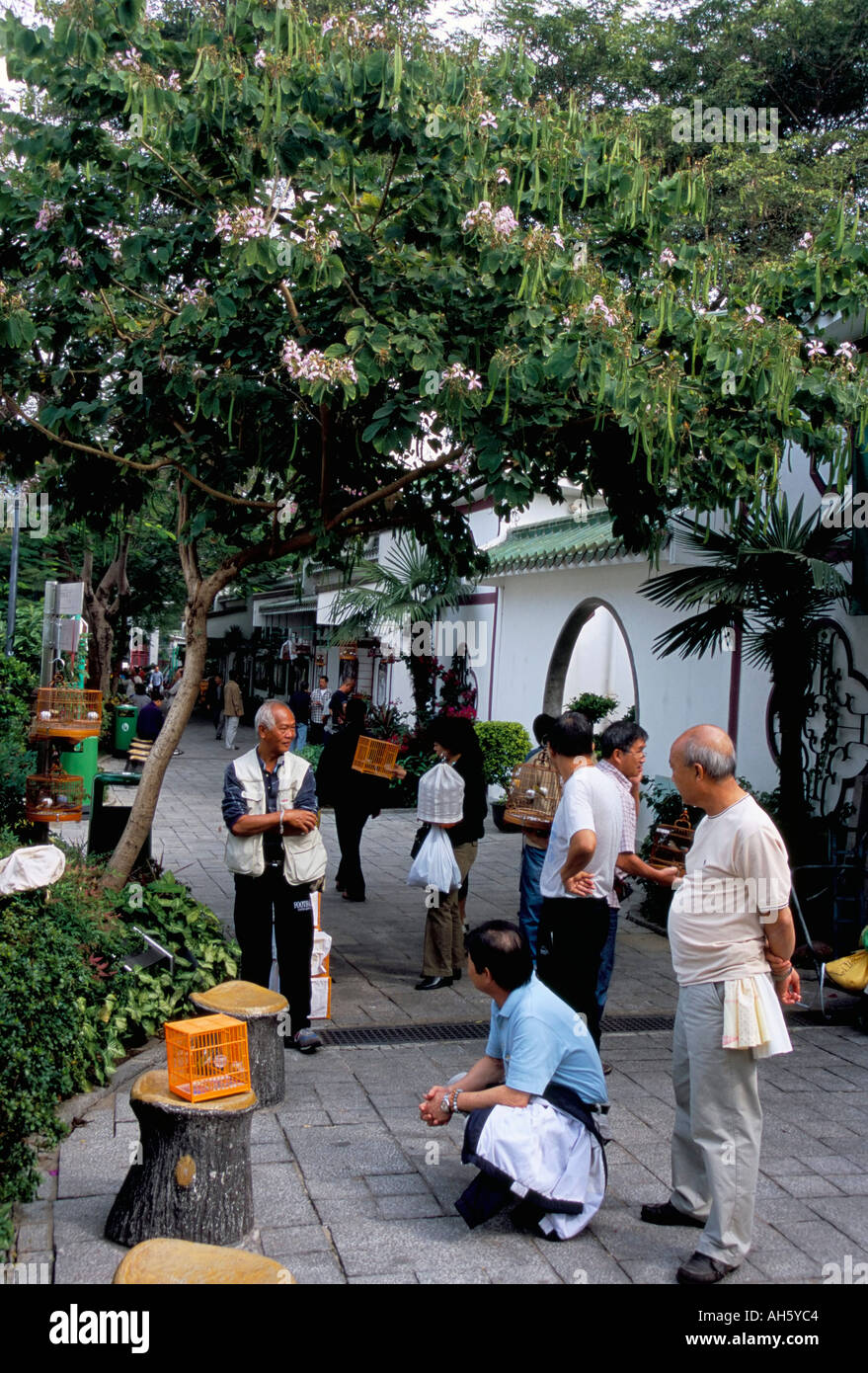 Yuen Po Street Bird Garden Mong Kok Kowloon Hong Kong China Asia Stock ...