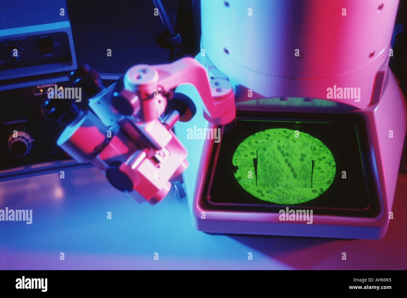 Electron Microscope showing magnified image on plate Stock Photo - Alamy