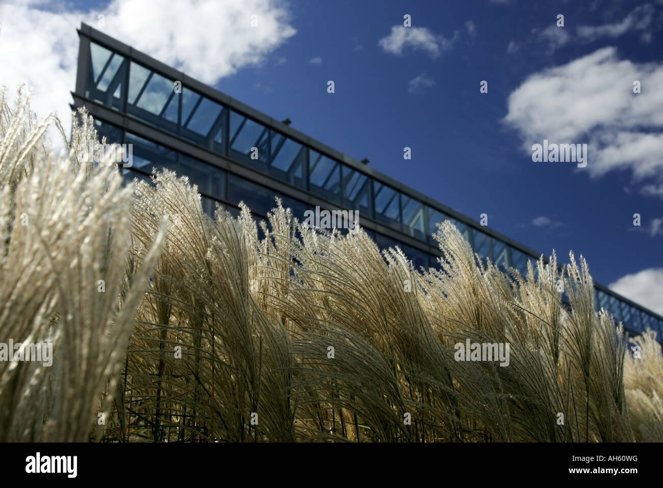 The Congress Center centre on Boulevard Rene Levesque in Quebec City ...